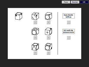 SkyTest® - Cube Comparison Test
